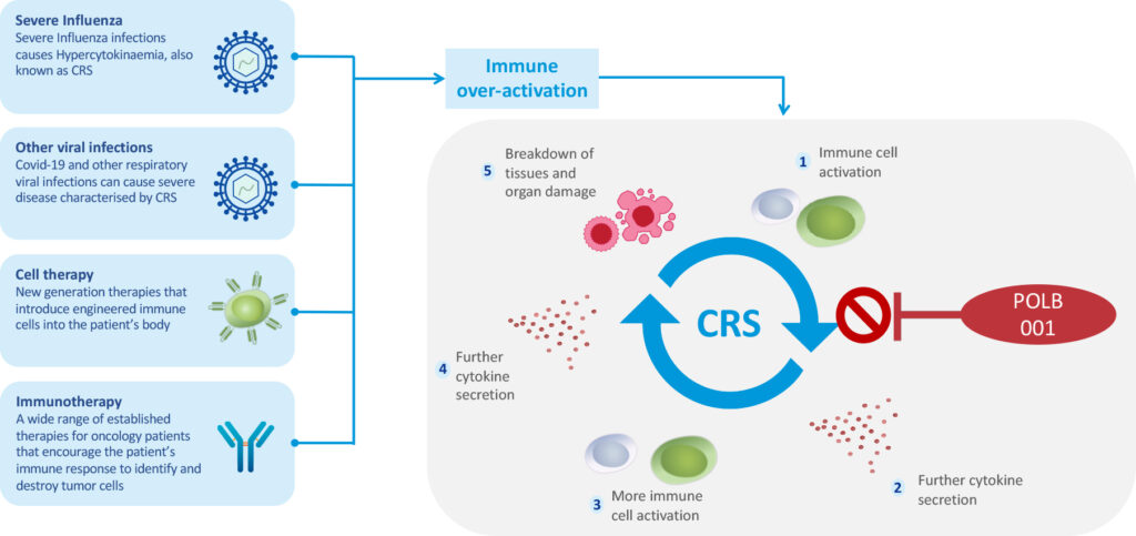 Severe Influenza Treatment | POLB 001 | Poolbeg Pharma